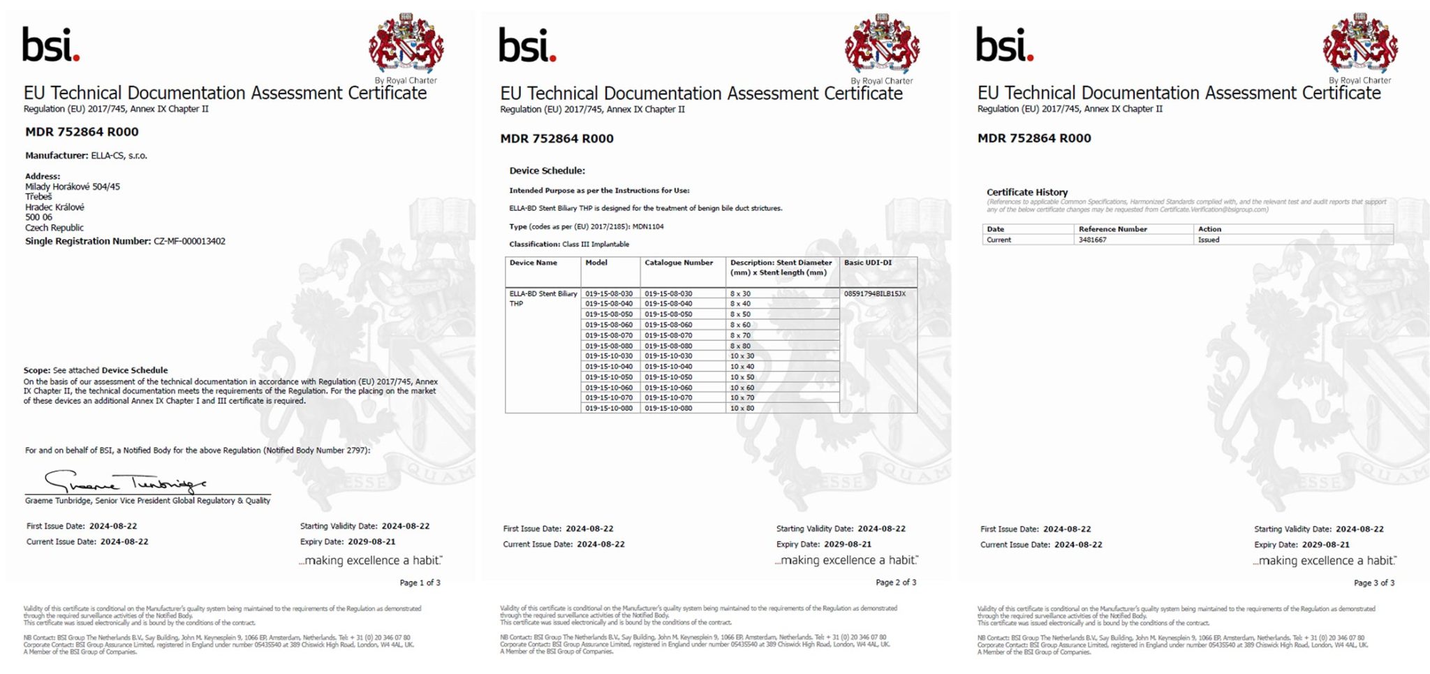 ELLA-BD Stent Biliary THP is coming on the market! - ELLA-CS, s.r.o ...