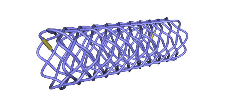 ELLA-BD Stent Biliary THP is coming on the market! - ELLA-CS, s.r.o ...